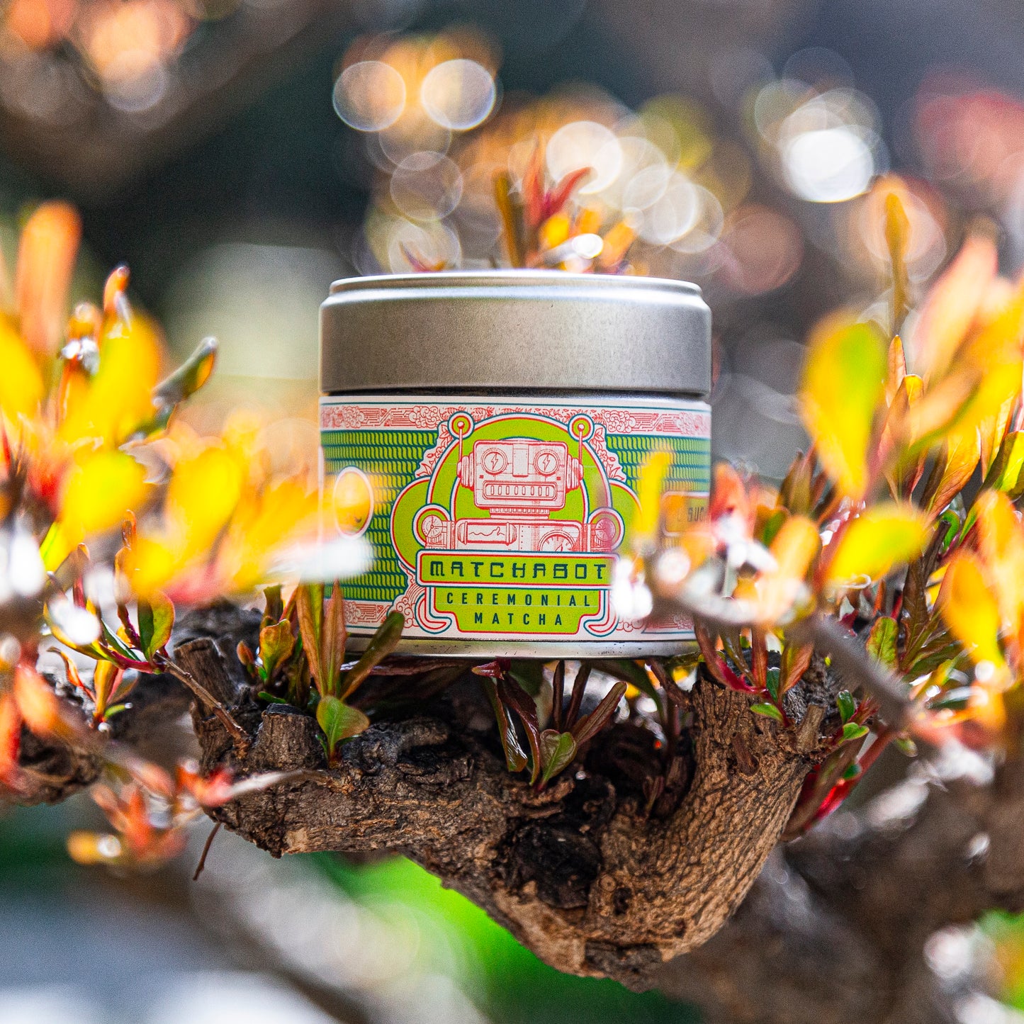 MatchaBot Level 2 Matcha – MoonGoat Coffee Roasters