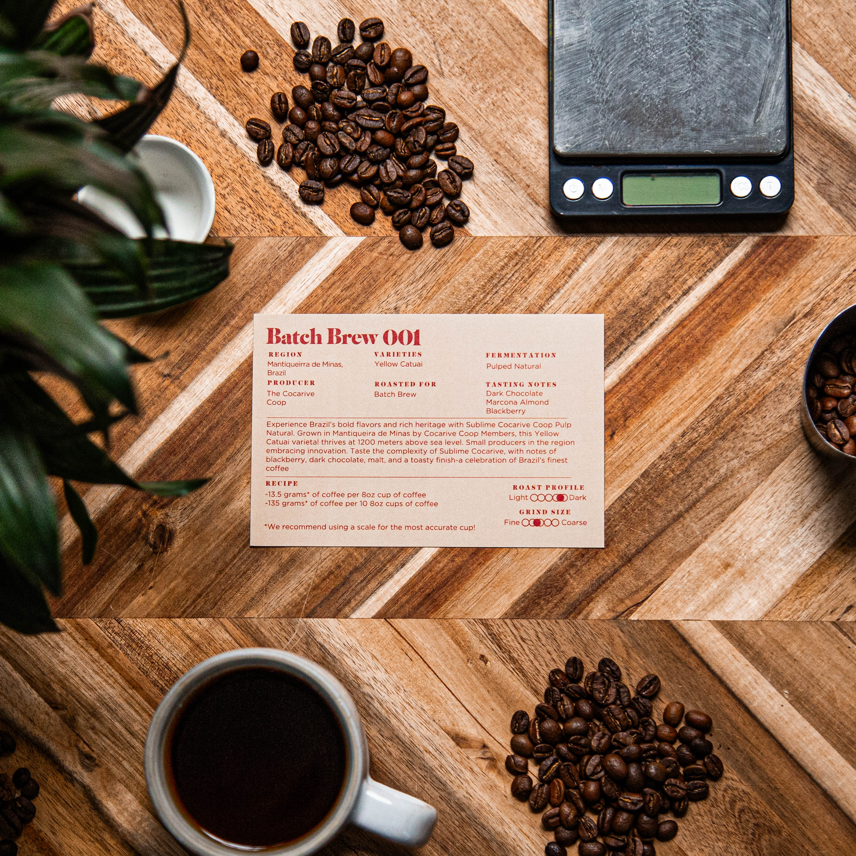 Batch Brew Subscription – MoonGoat Coffee Roasters